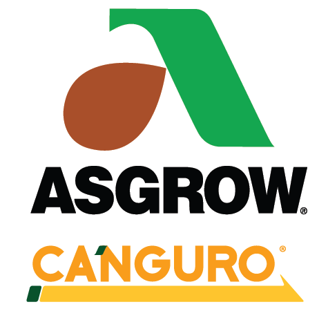 Semillas de Maíz - Nucle México Marketplace